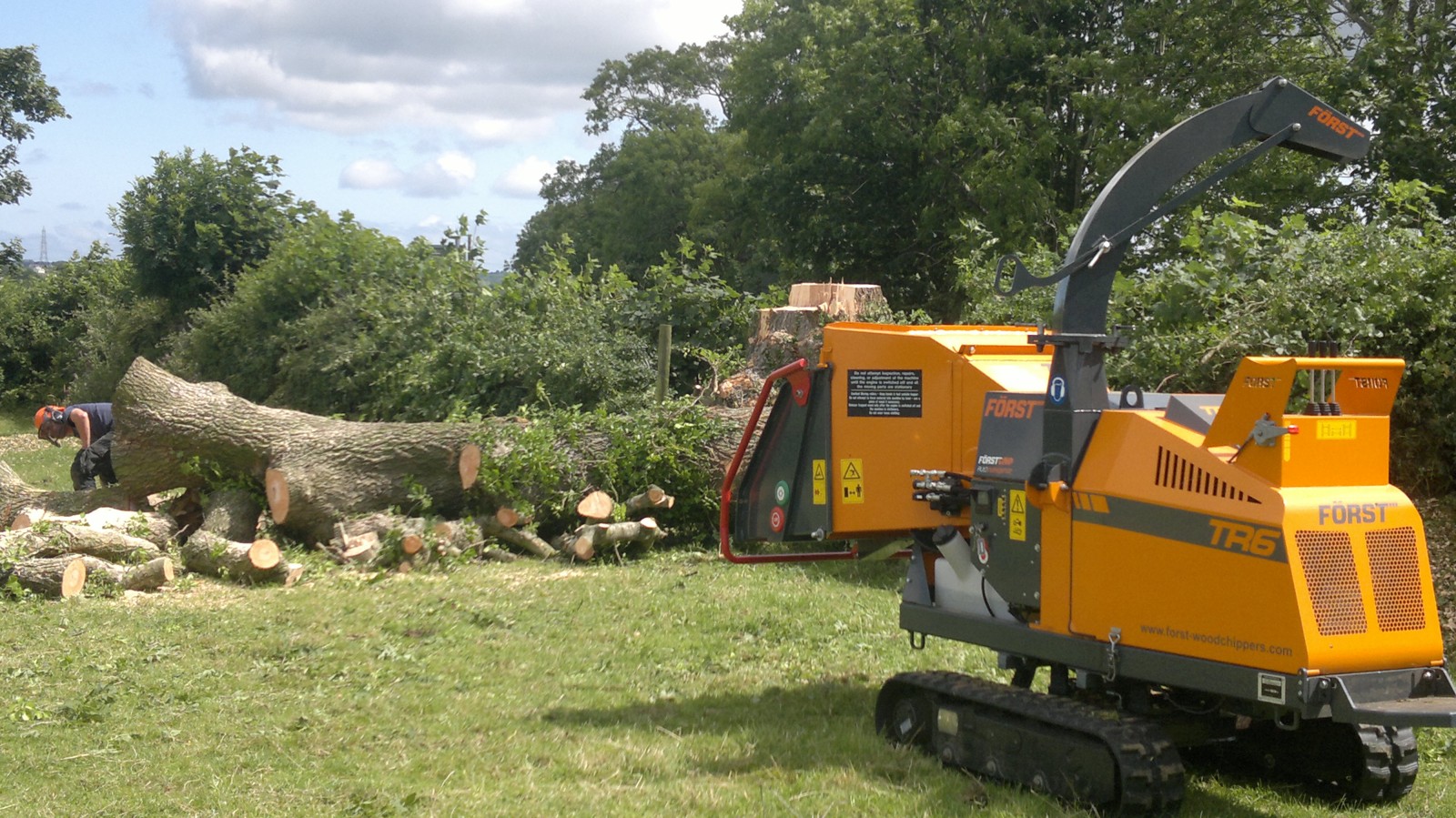 Arboriculture - Snowdonia Tree Services